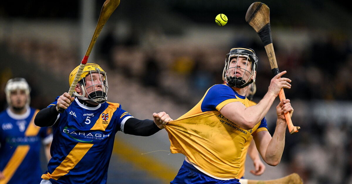 What Sars need to know about Dublin hurling champions Na Fianna