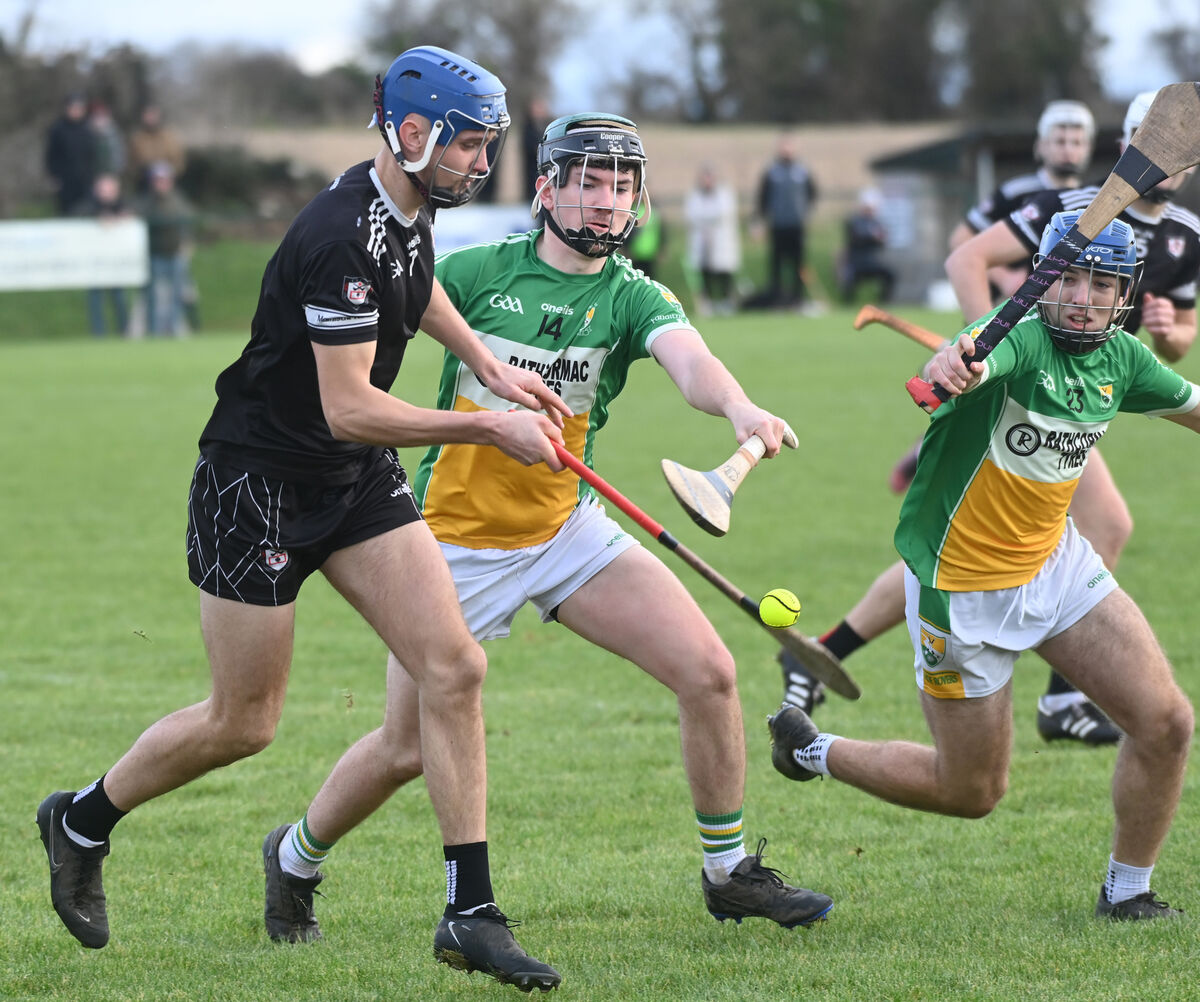 Premier Senior Hurling: John Horgan picks the six clubs to qualify from ...