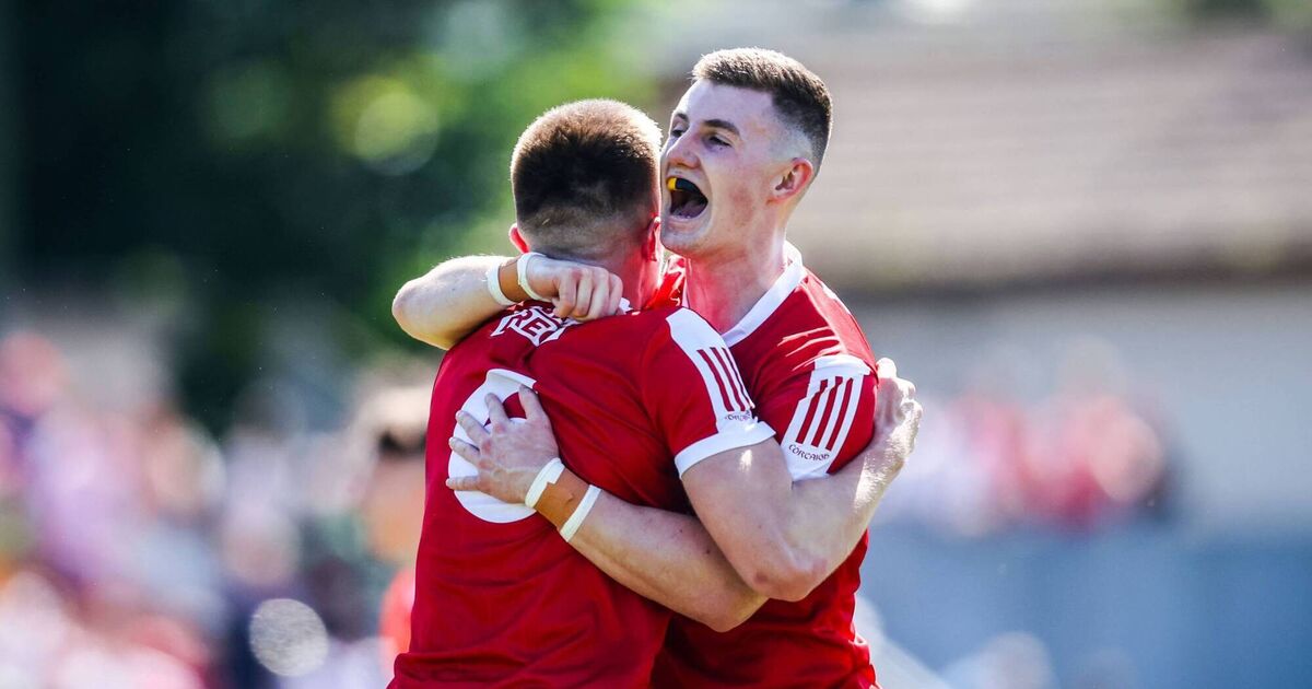 A year of ups and downs for Cork footballers and Leeds United