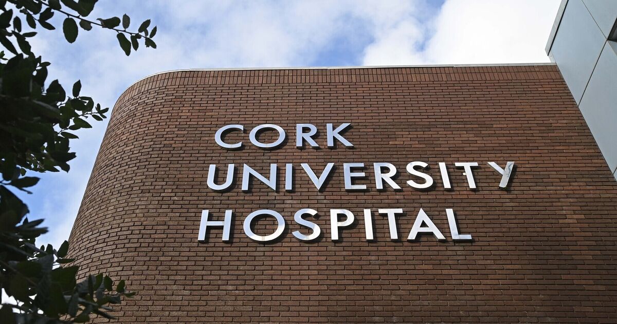 Cork medical scientists among those to vote in favour of industrial action