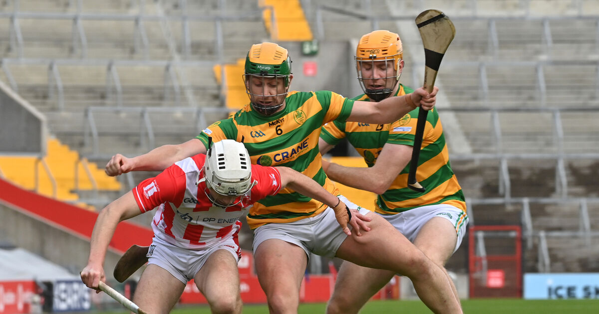 Fitzgibbon Cup has personal significance for Jack Leahy