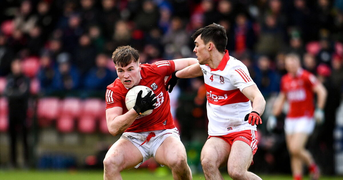 Fionn Herlihy steps away from Cork football panel