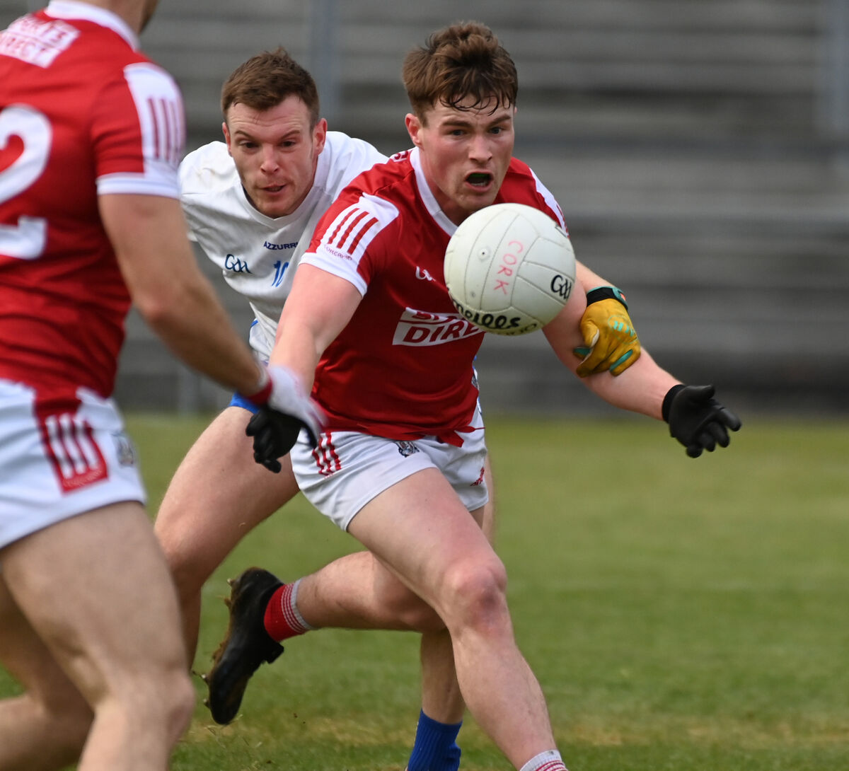 Fionn Herlihy steps away from Cork football panel