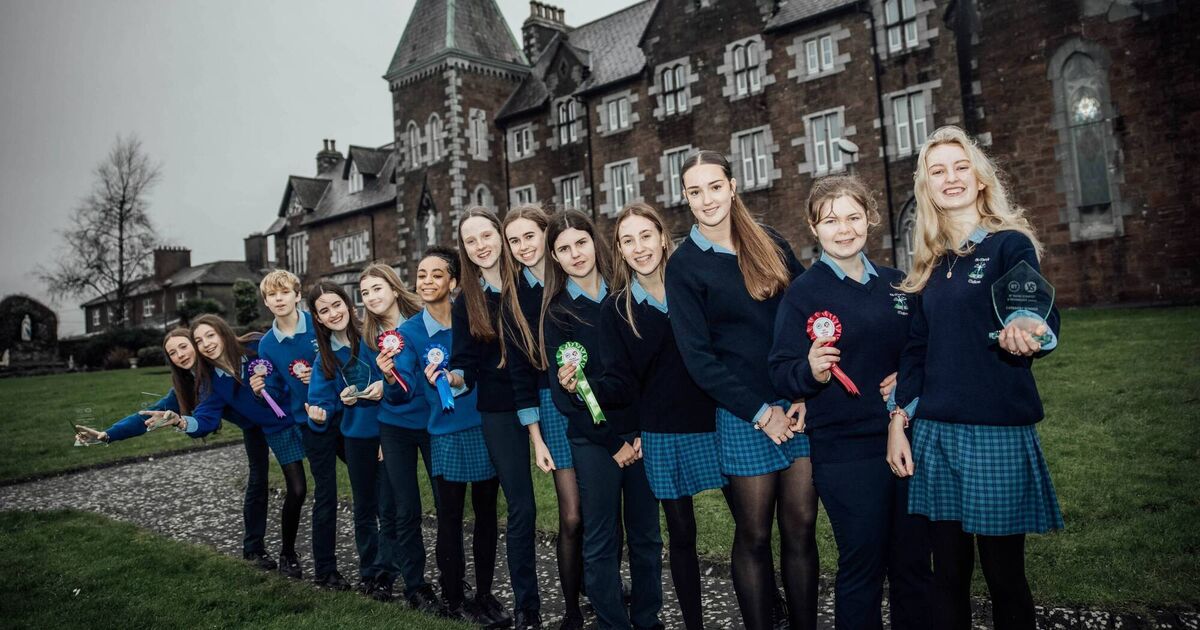 Cork school goes five for five at BT Young Scientist