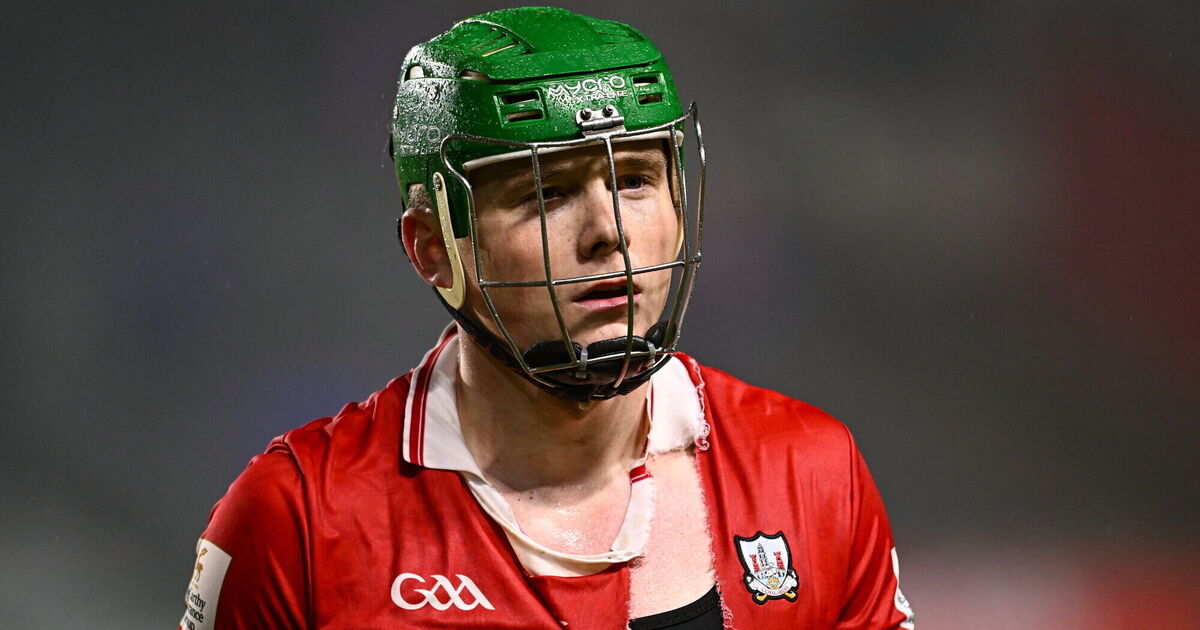 Cork v Limerick: Battling qualities shown will stand to those seeking ...