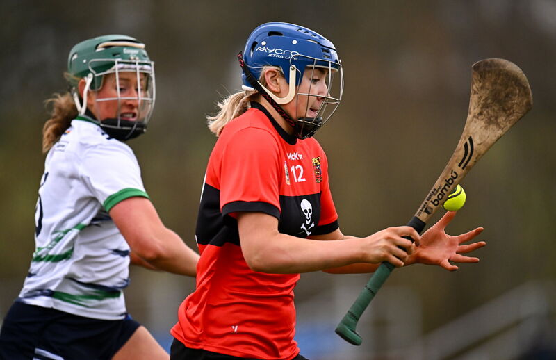 More heartbreak for UCC camogie in Ashbourne Cup final against UL