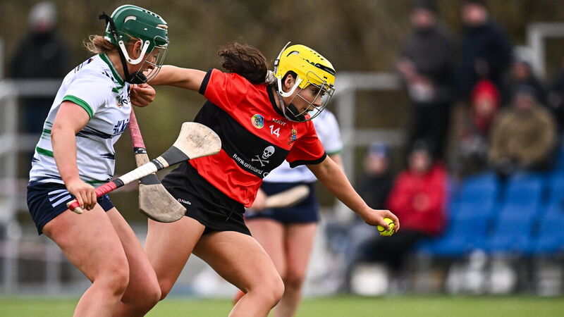 More heartbreak for UCC camogie in Ashbourne Cup final against UL