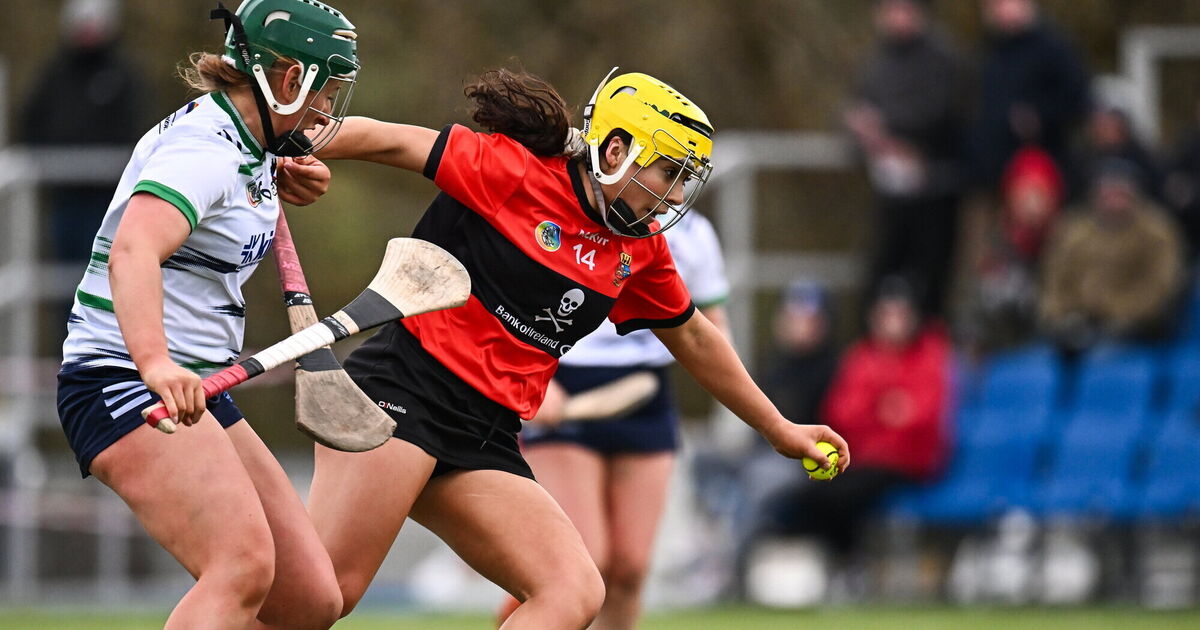 More heartbreak for UCC camogie in Ashbourne Cup final against UL