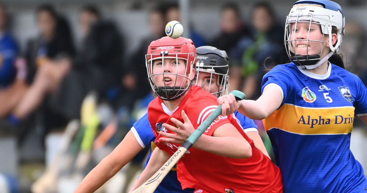 Cork grab draw with Tipperary in lively minor camogie opener at Castle Road