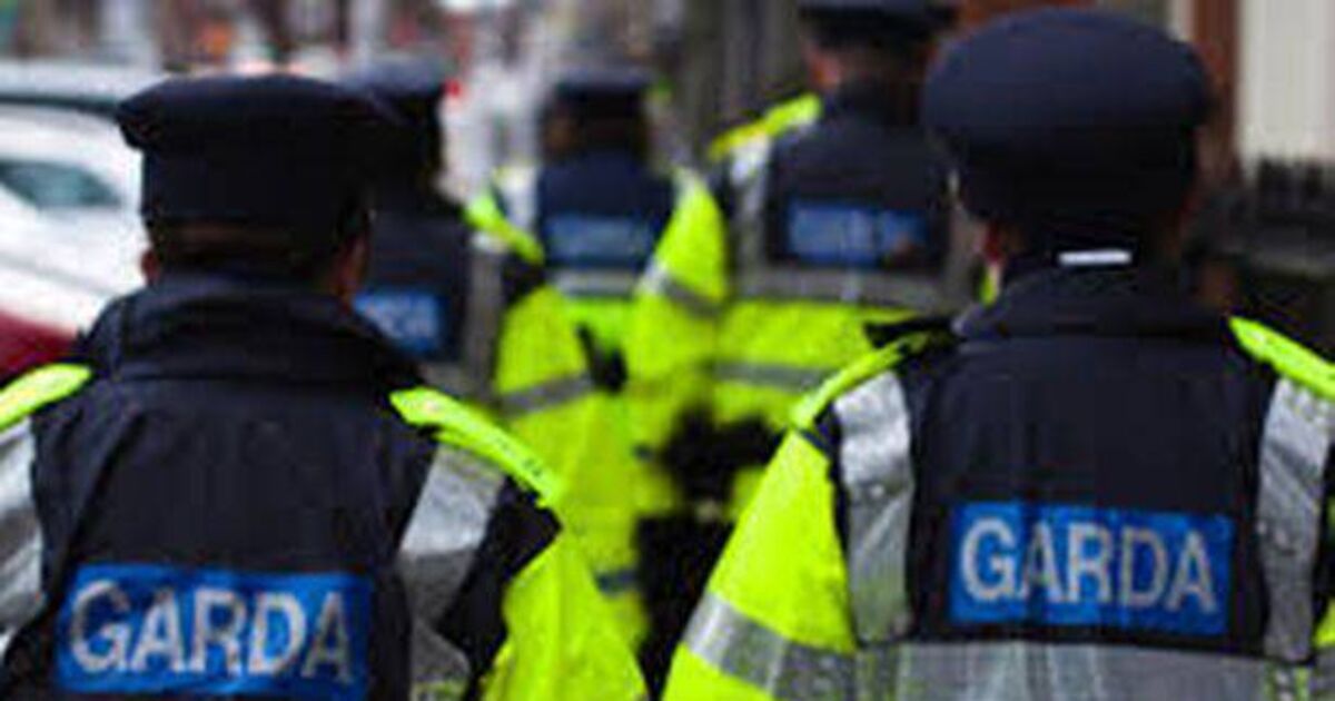 Increase in Cork city garda numbers ‘not enough’, says TD