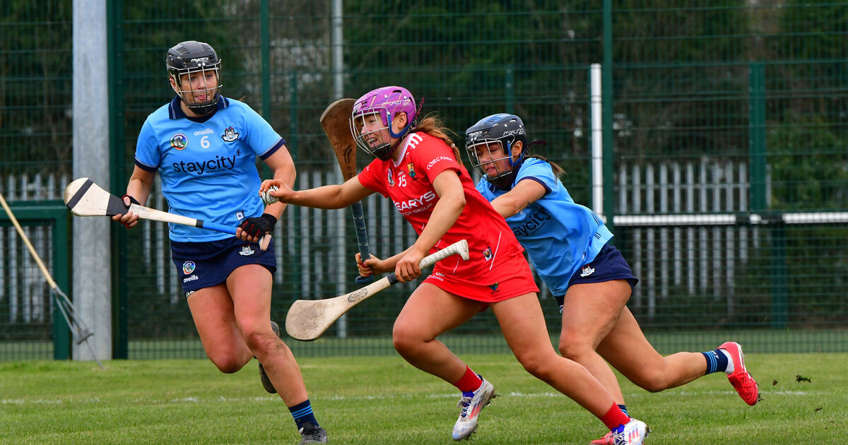 Ger Manley: Cork coped well with Dublin physicality and small pitch