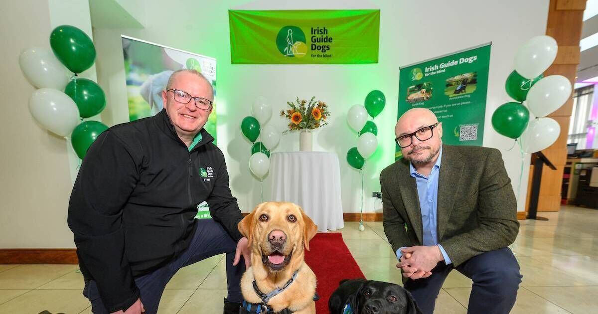 Cork hotel leads the way in guide dog charity deal