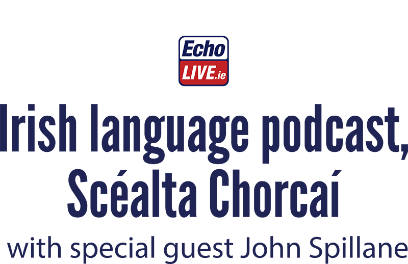 The Echo: Cork news and sport - Echolive
