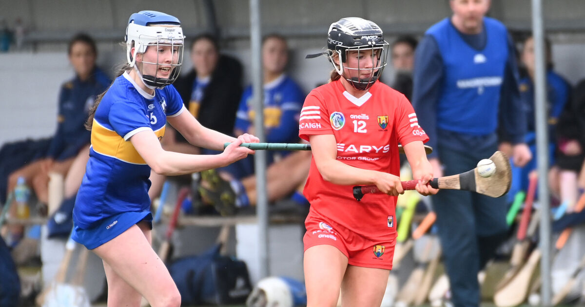 Shona Cronin and Clara Murphy hit goals as Cork minor camogie team ...