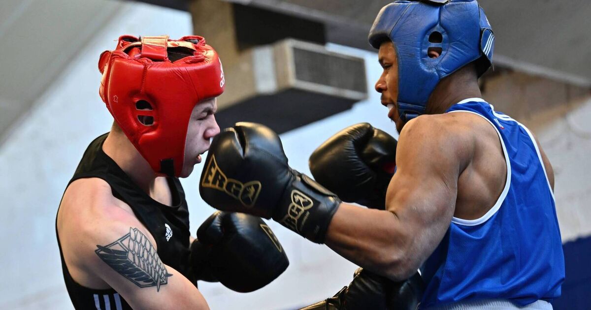 Six Cork boxers capture All-Ireland glory at the National Stadium