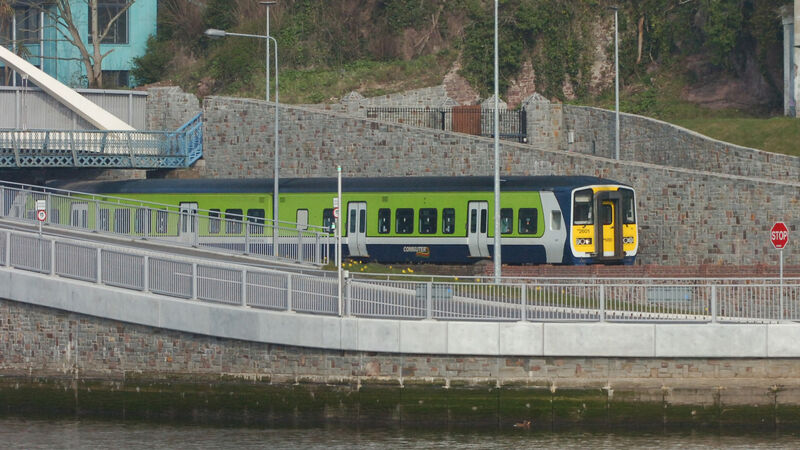 Dublin to Cork train delayed due to incident with sheep on the line