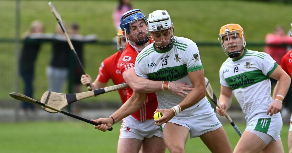 Division 1 HL: What forwards are putting their hands up for a Cork ...