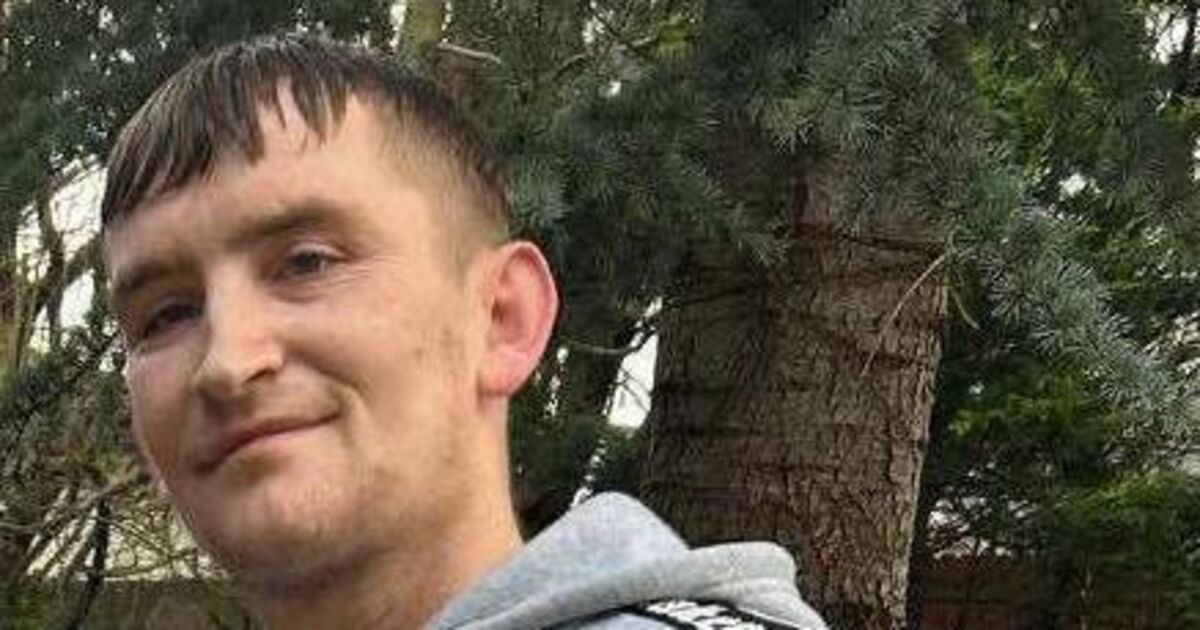 The Tragic Case of Daniel ‘Dano’ O’Sullivan: A Look into the Future of ...