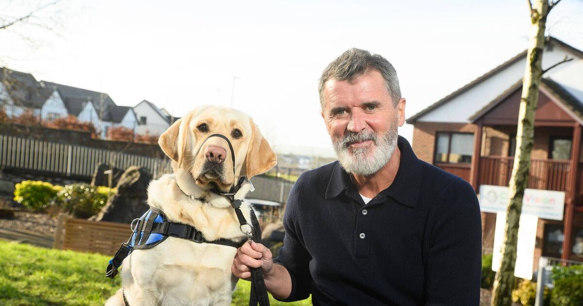 Win a dinner with Roy Keane at Cork guide dogs events