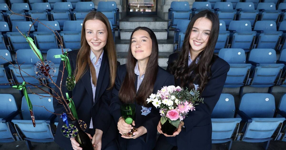 Two Cork schools among finalists at youth entrepreneur awards