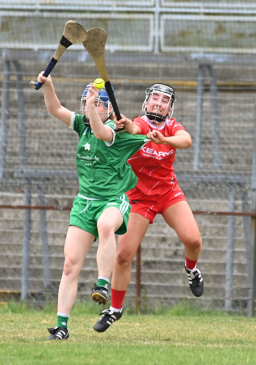 Cork camogie team back in action in style as they hammer Limerick by 38 ...
