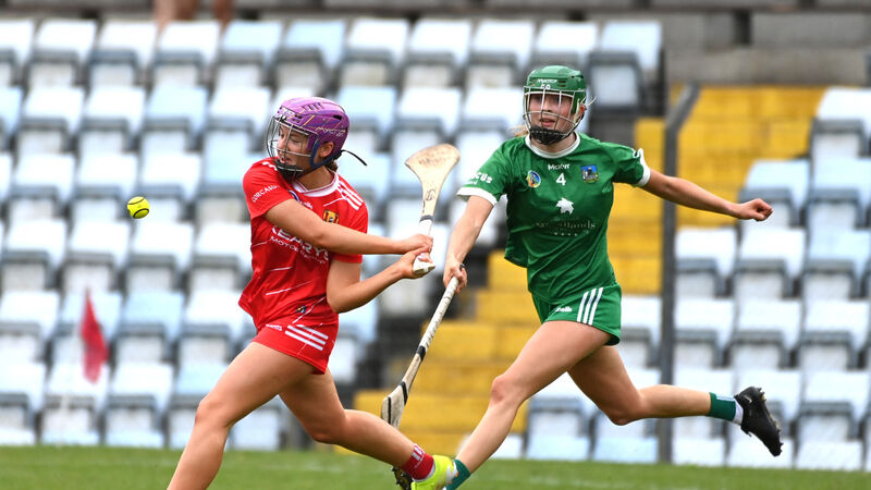 Cork camogie team back in action in style as they hammer Limerick by 38 ...