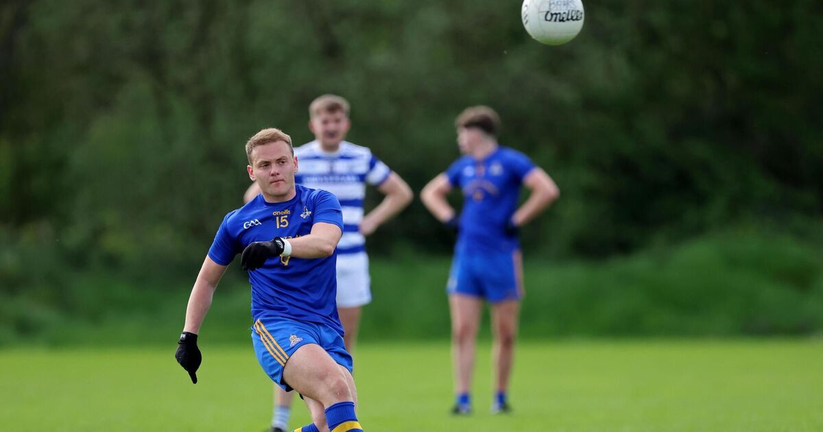 Division 1 FL: Steven Sherlock outguns entire clubs as Barrs lead two ...