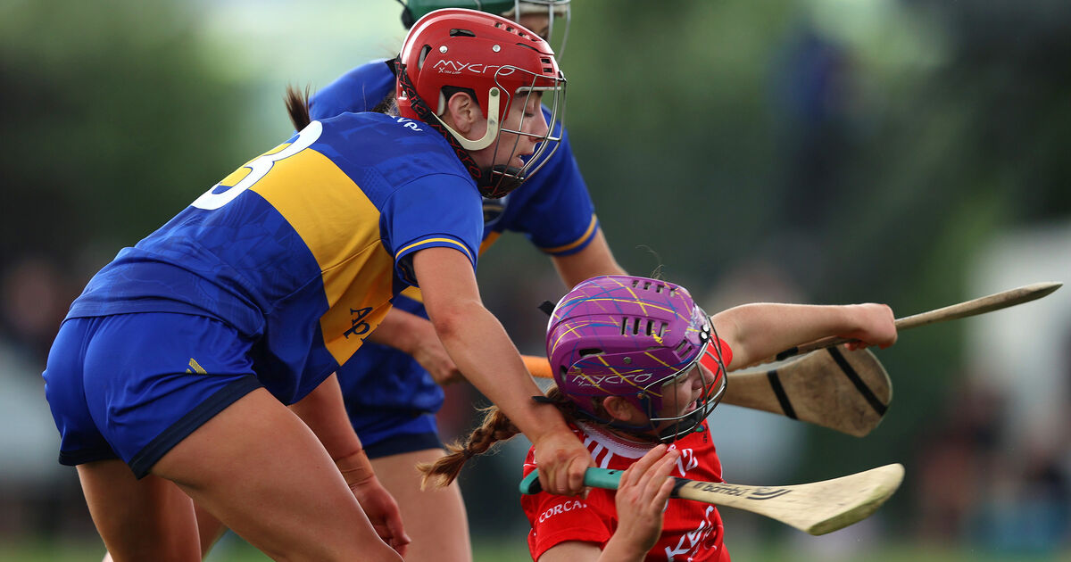 Cork camogie manager Ger Manley hails clinical Rebels after outclassing ...