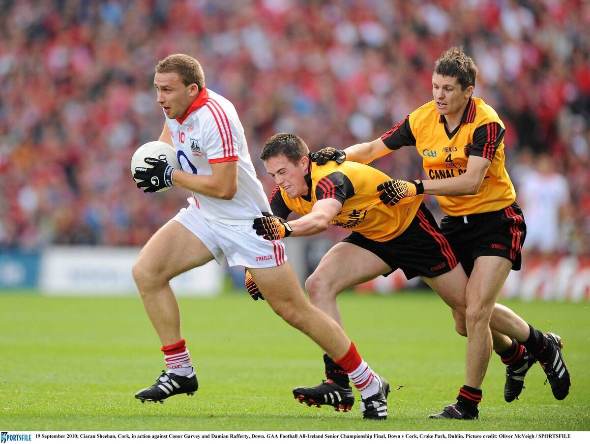 Ciarán Sheehan: Injuries were character building and made me stronger