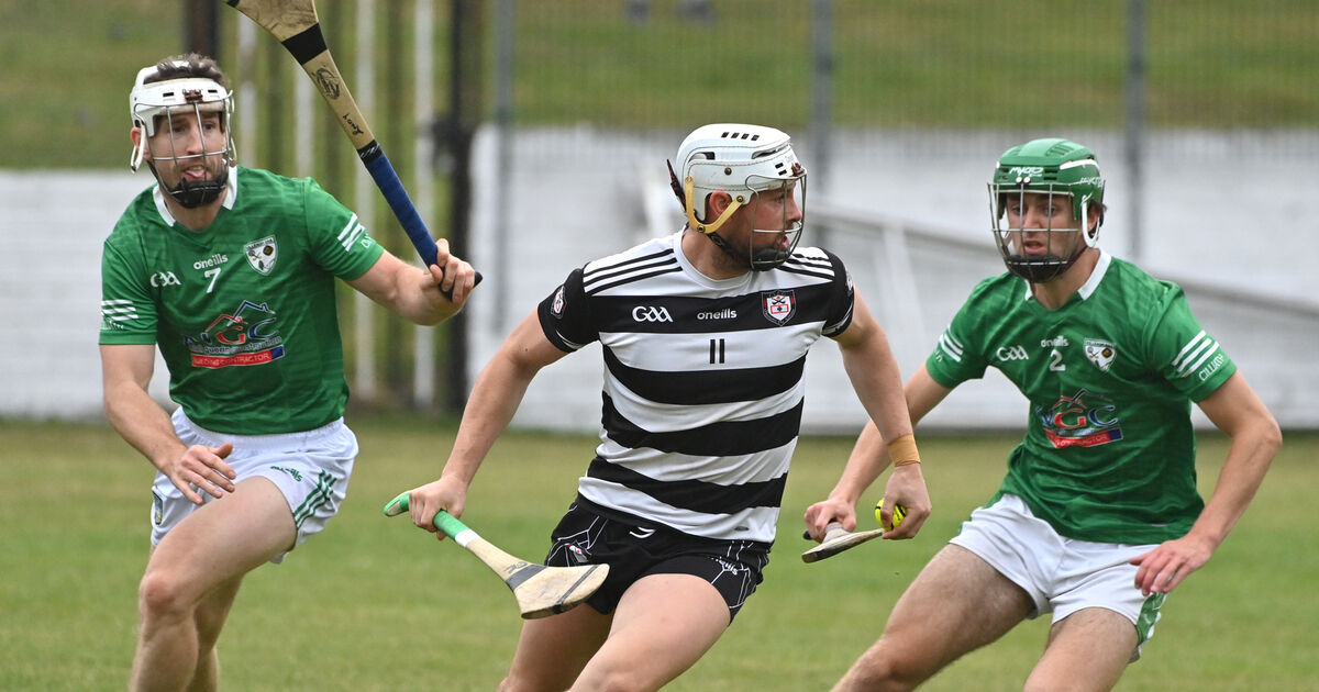 Division 2 HL: Barry Walsh hits 1-14 on debut as Killeagh secure ...
