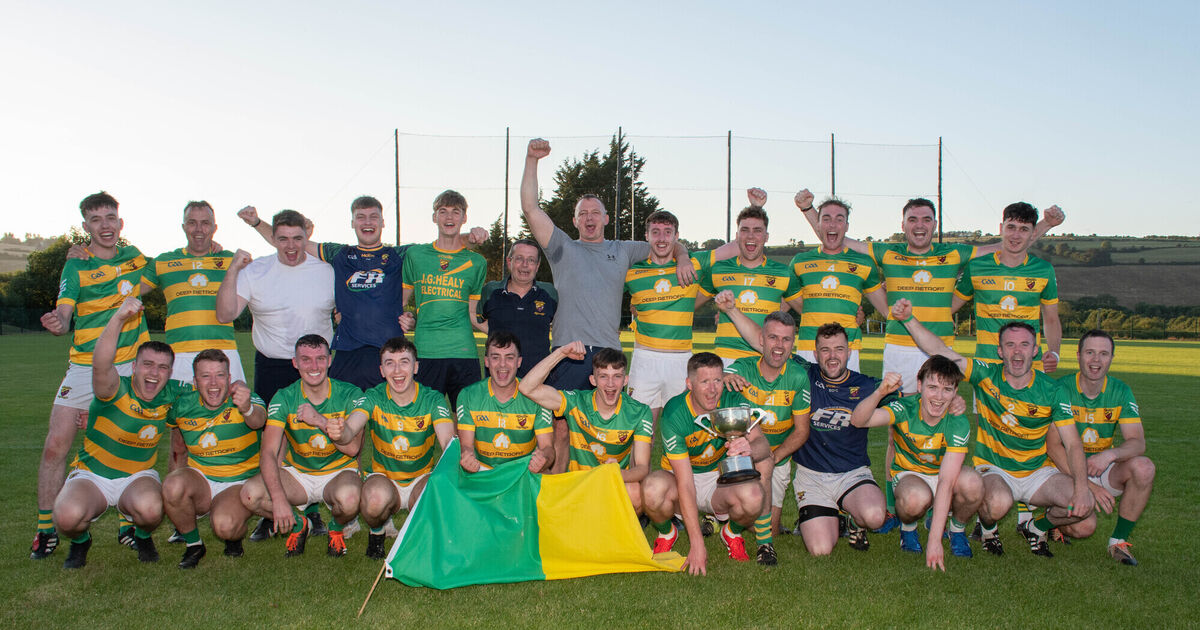 David Ludgate strikes late to secure hurling title for Ballyclough ...