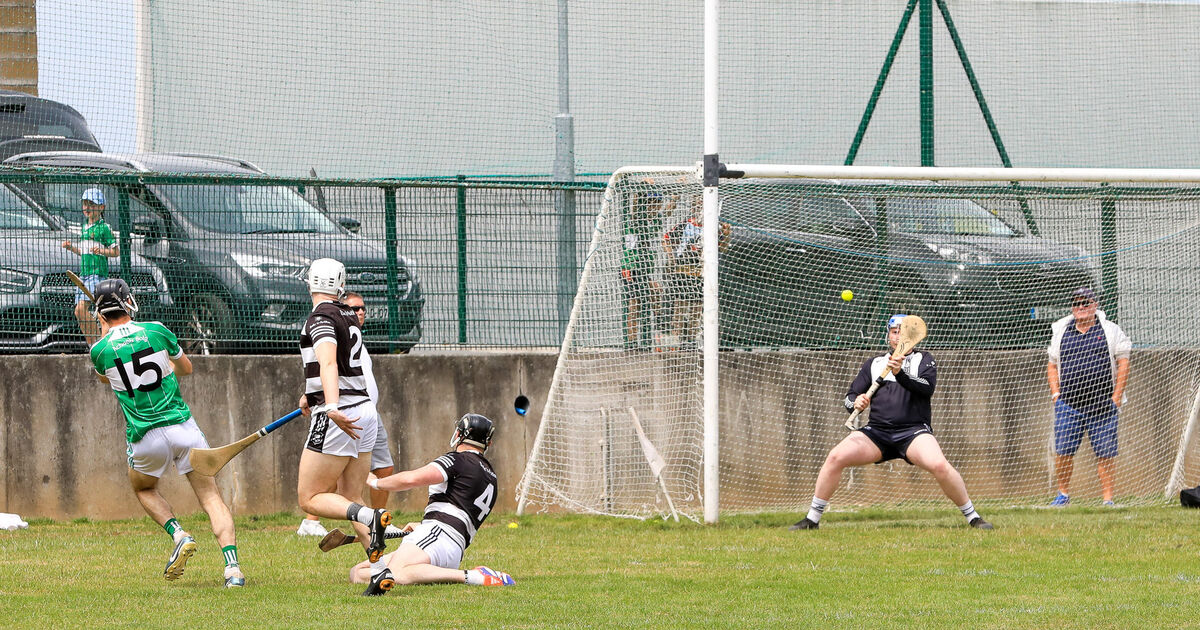 Awesome Aghabullogue land hurling league title after hitting Ballyhea ...
