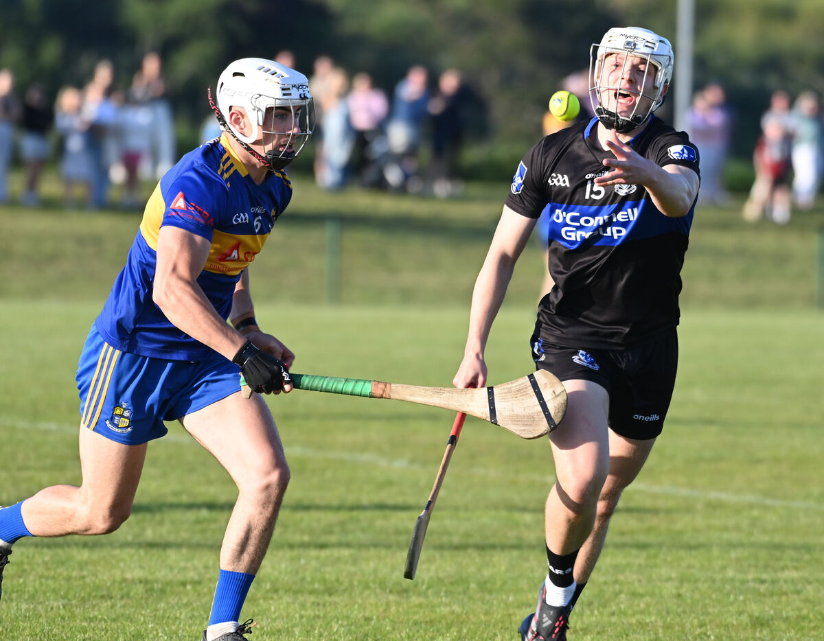 Third consecutive Division 1 HL title, but Sarsfields will have eyes on ...