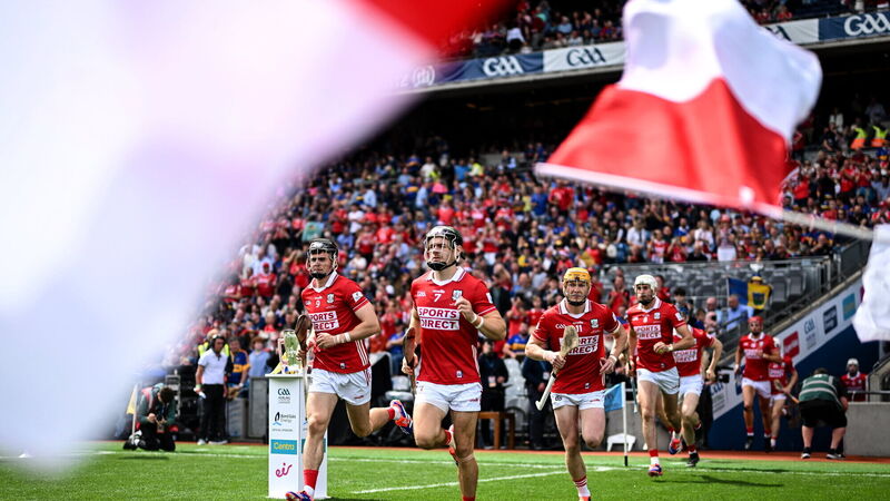 Kemono rynkerbelle i had been Luna's post a while ago, was