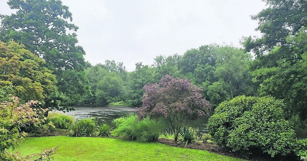 Anita williams xxx told myself, this is gonna be fun VIPs