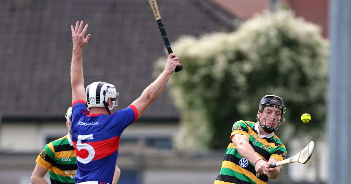 Cork hurlers in club action: What we learned about the veterans and rookies