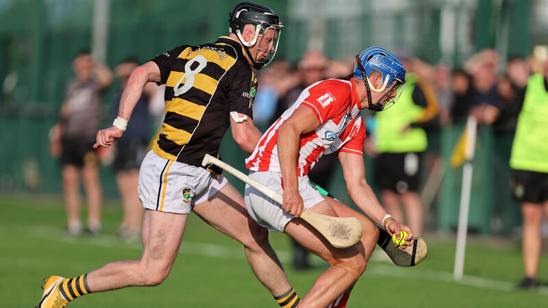 Familiar and new faces impress for Imokilly in first championship ...