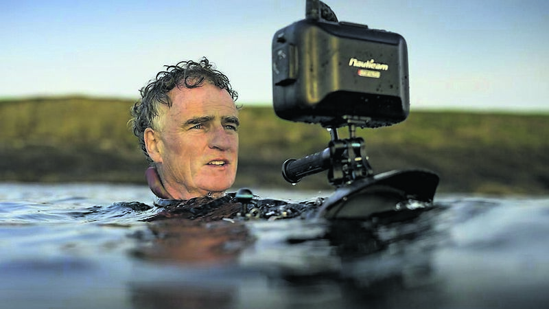 Cork coast featured in dolphin documentary