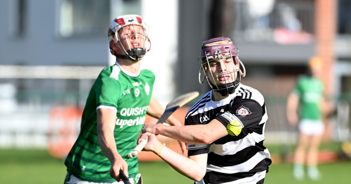 Midleton crowned P1 U16 Hurling champions after victory over ...