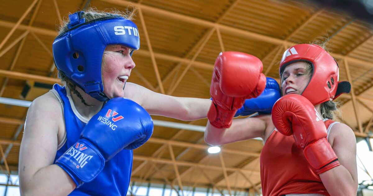 Bumper week for Cork boxing with several tournaments and a Lord Mayor's ...