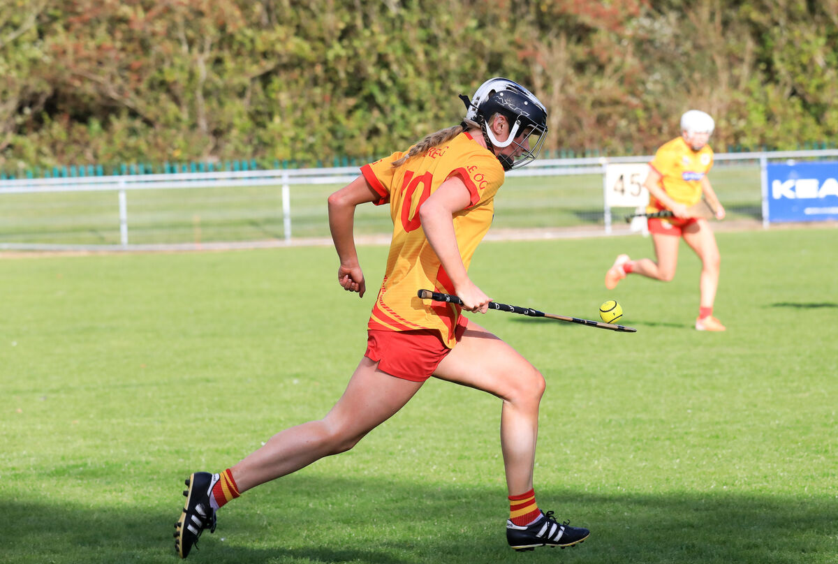 St Finbarr's dominate Reardens Club Camogie All-Star 15 but six clubs ...