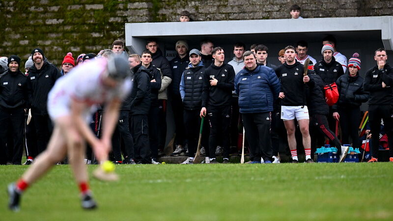 Shane Kingston: Nobody has an entitlement to a place in Cork squad